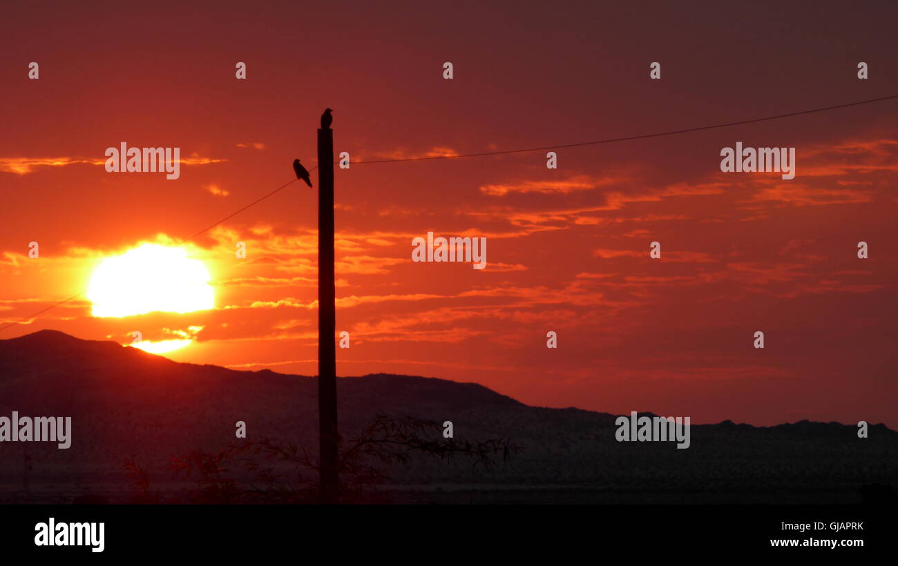 Telephone poles in desert hi-res stock photography and images - Alamy