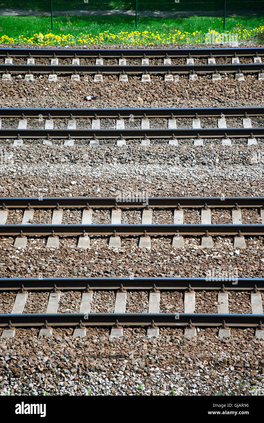 railroad in four rows Stock Photo - Alamy