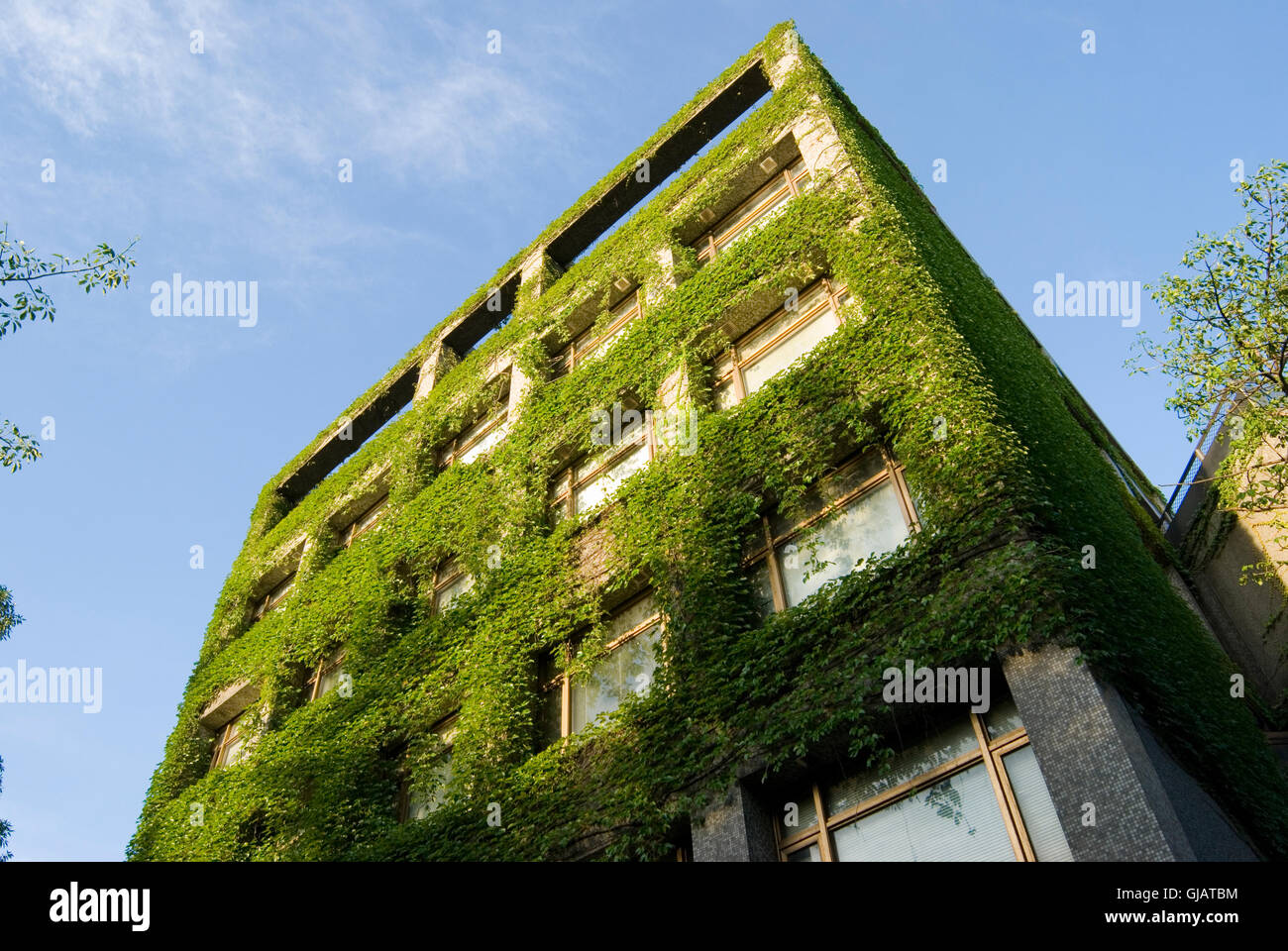 Building covers by real green plants Stock Photo - Alamy