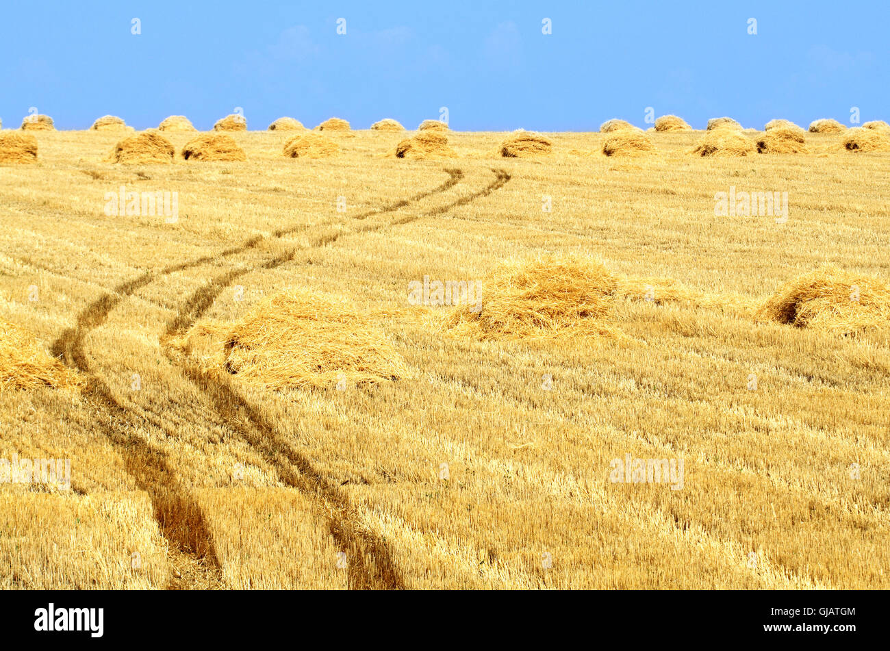 Way Across Field Stock Photo - Alamy