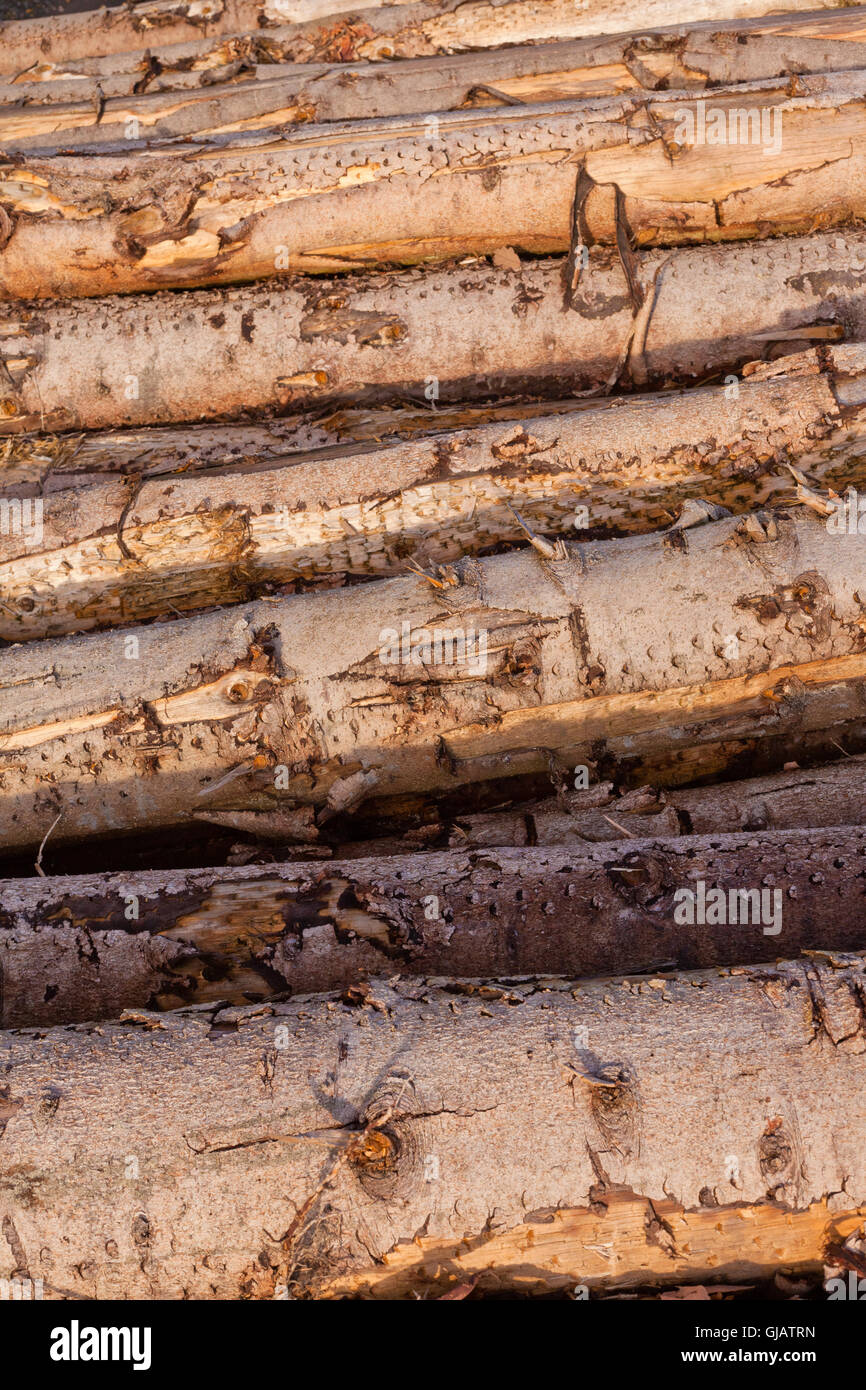 Stacked tree trunks background texture pattern Stock Photo - Alamy