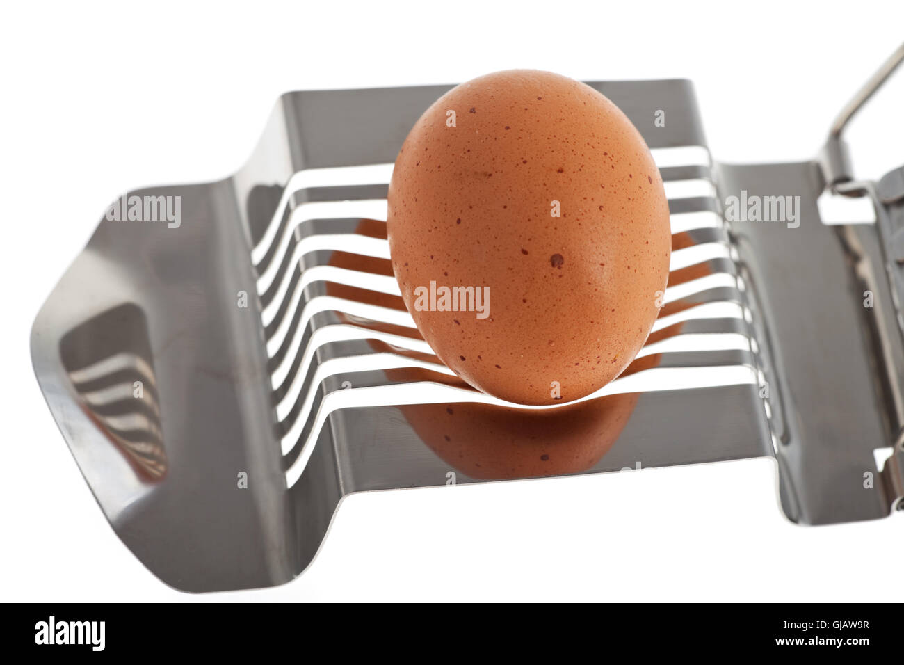 egg cutter with an egg isolated on white background Stock Photo - Alamy