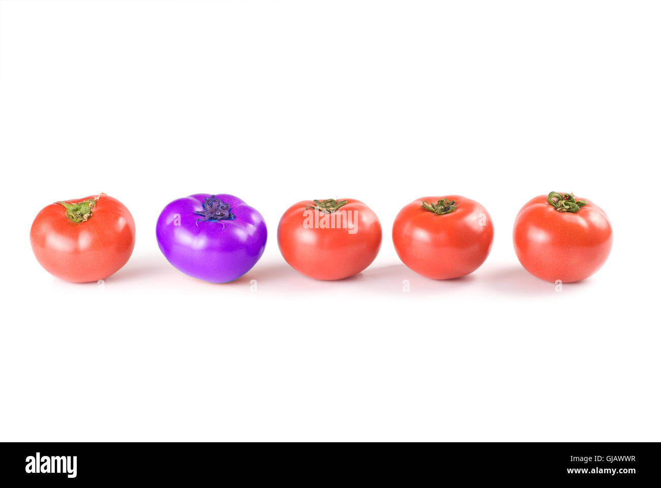 Different than the rest, tomatoes Stock Photo - Alamy