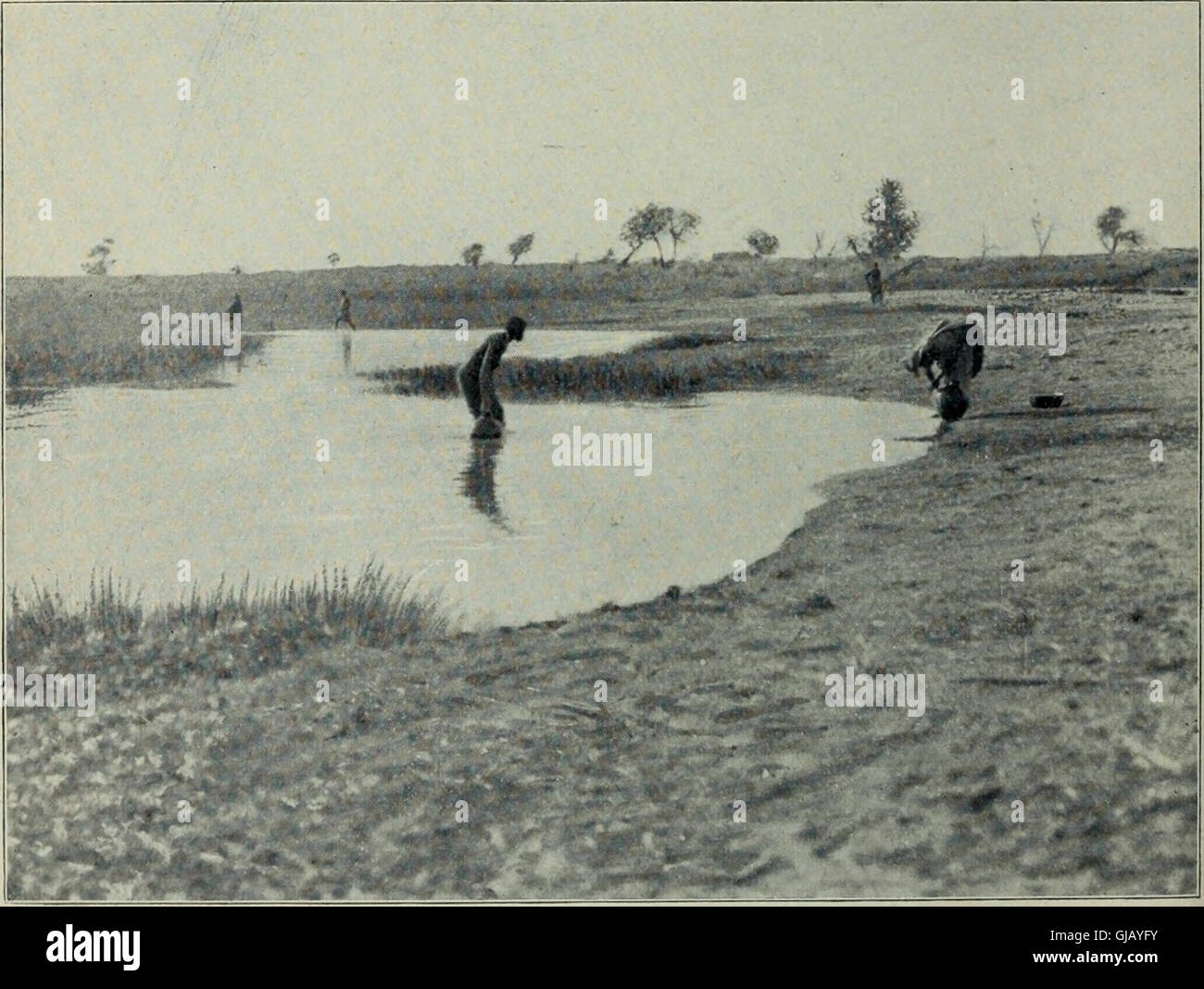 From the Congo to the Niger and the Nile - an account of The German ...