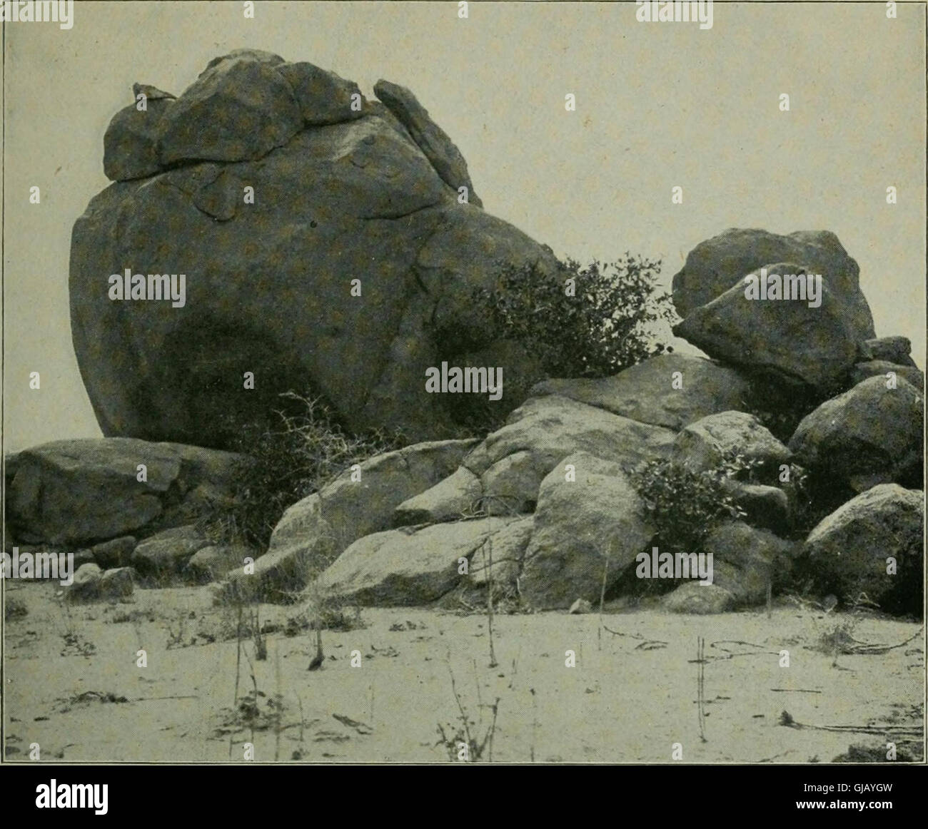 This 1913 account describes the German Central African expedition of ...