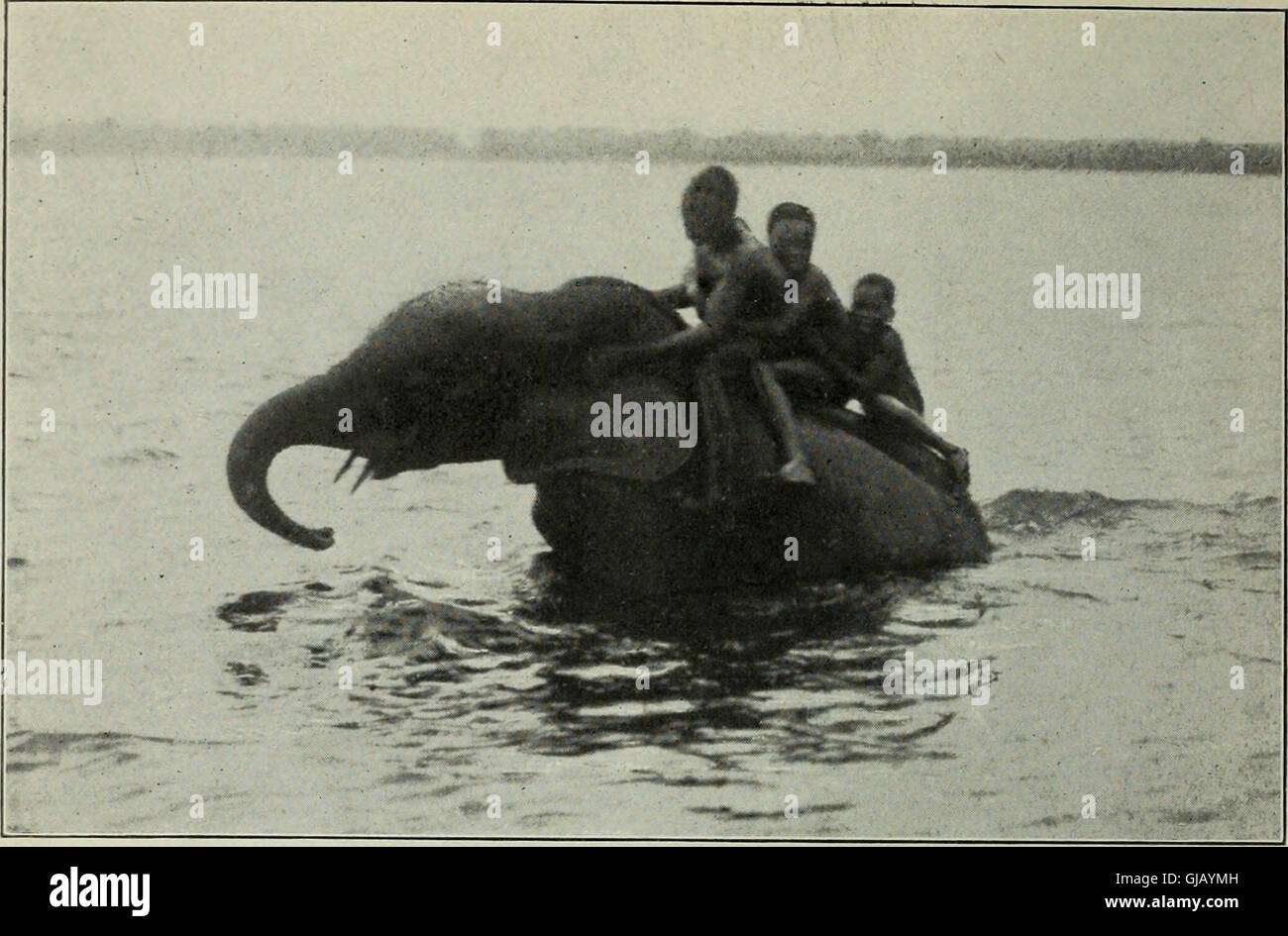 This 1913 account documents the German Central African Expedition of ...