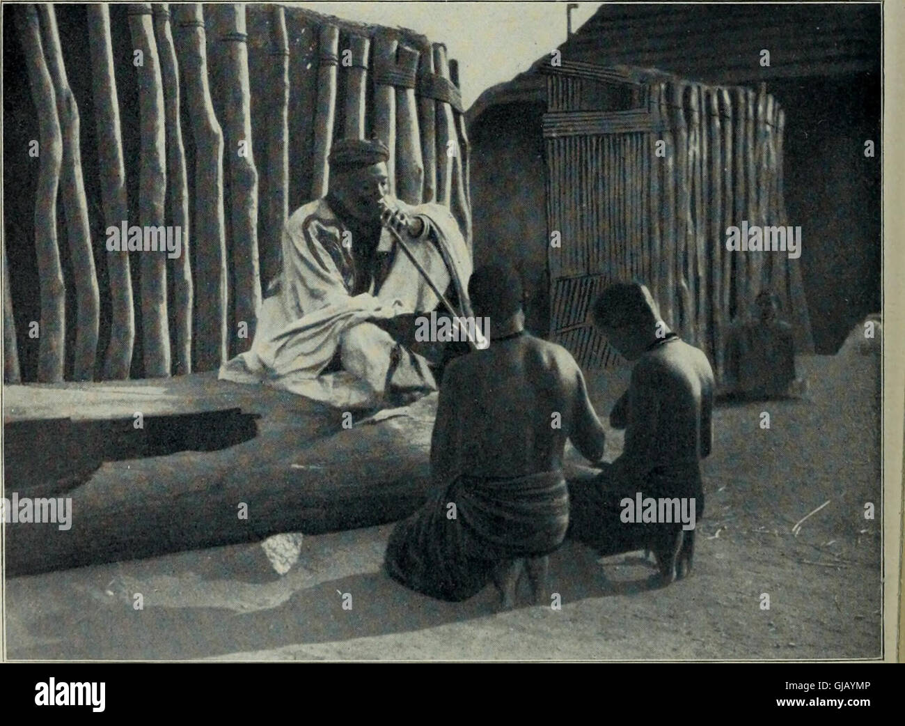 'From the Congo to the Niger and the Nile' (1913) documents the German ...