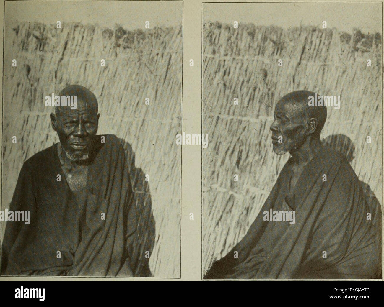 'From the Congo to the Niger and the Nile' (1913) documents the German ...