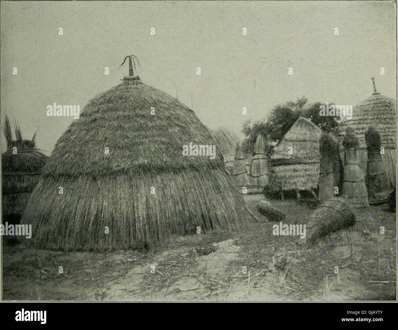 This work details the German Central African Expedition (1910-1911), a ...