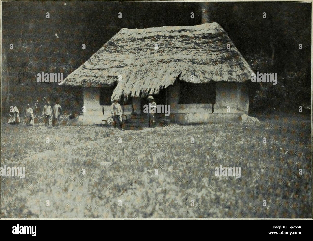 This 1913 account details the German Central African expedition of 1910 ...