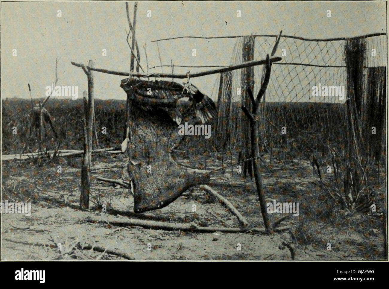 This account details the German Central African Expedition of 1910-1911 ...