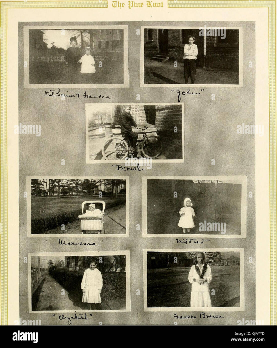 The Pine Knot (1916 Stock Photo - Alamy