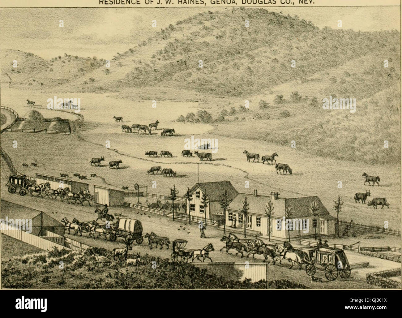 The 'History of Nevada' (1881) provides a detailed account of the state ...