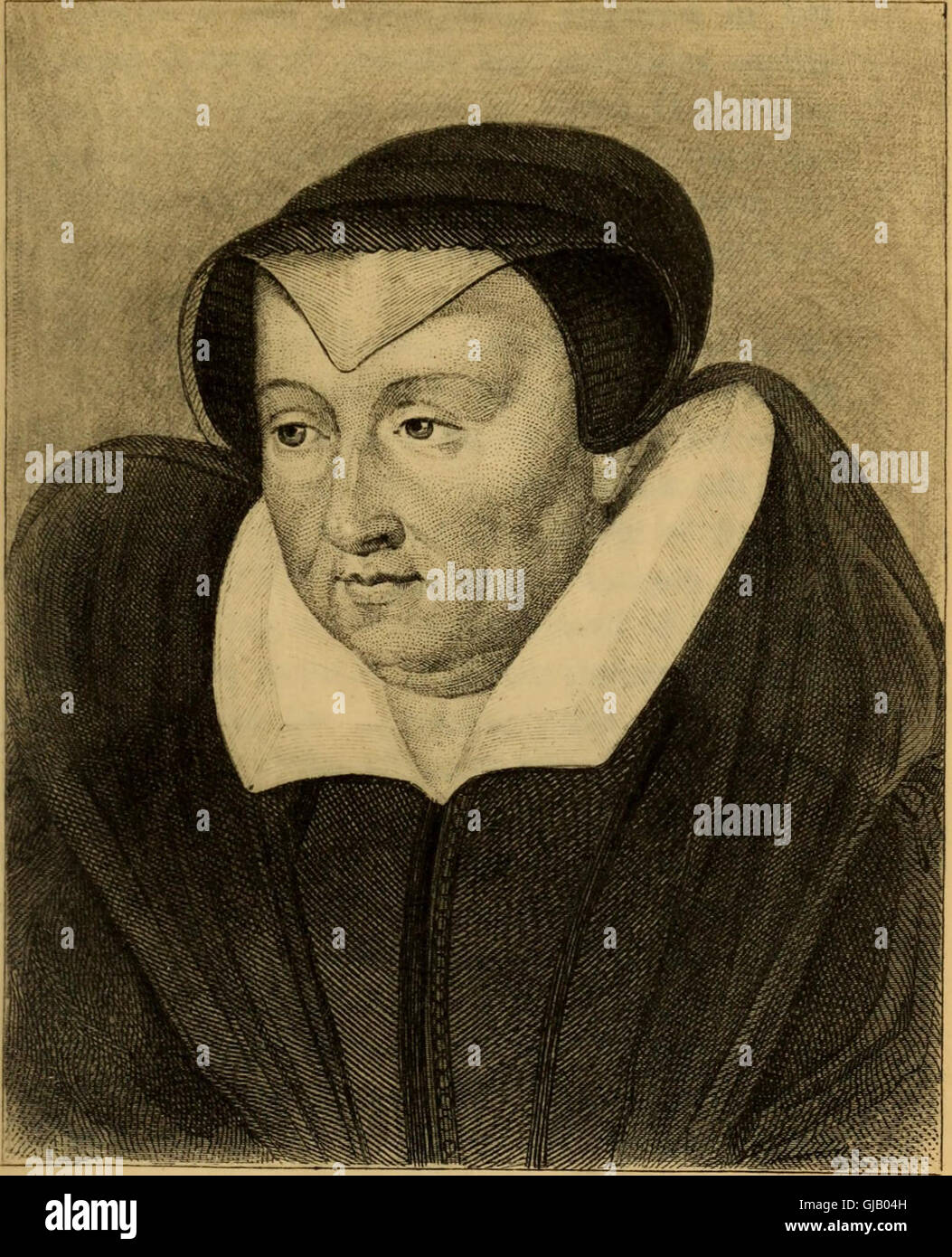 This work details the final years of the Valois dynasty and the rise of ...