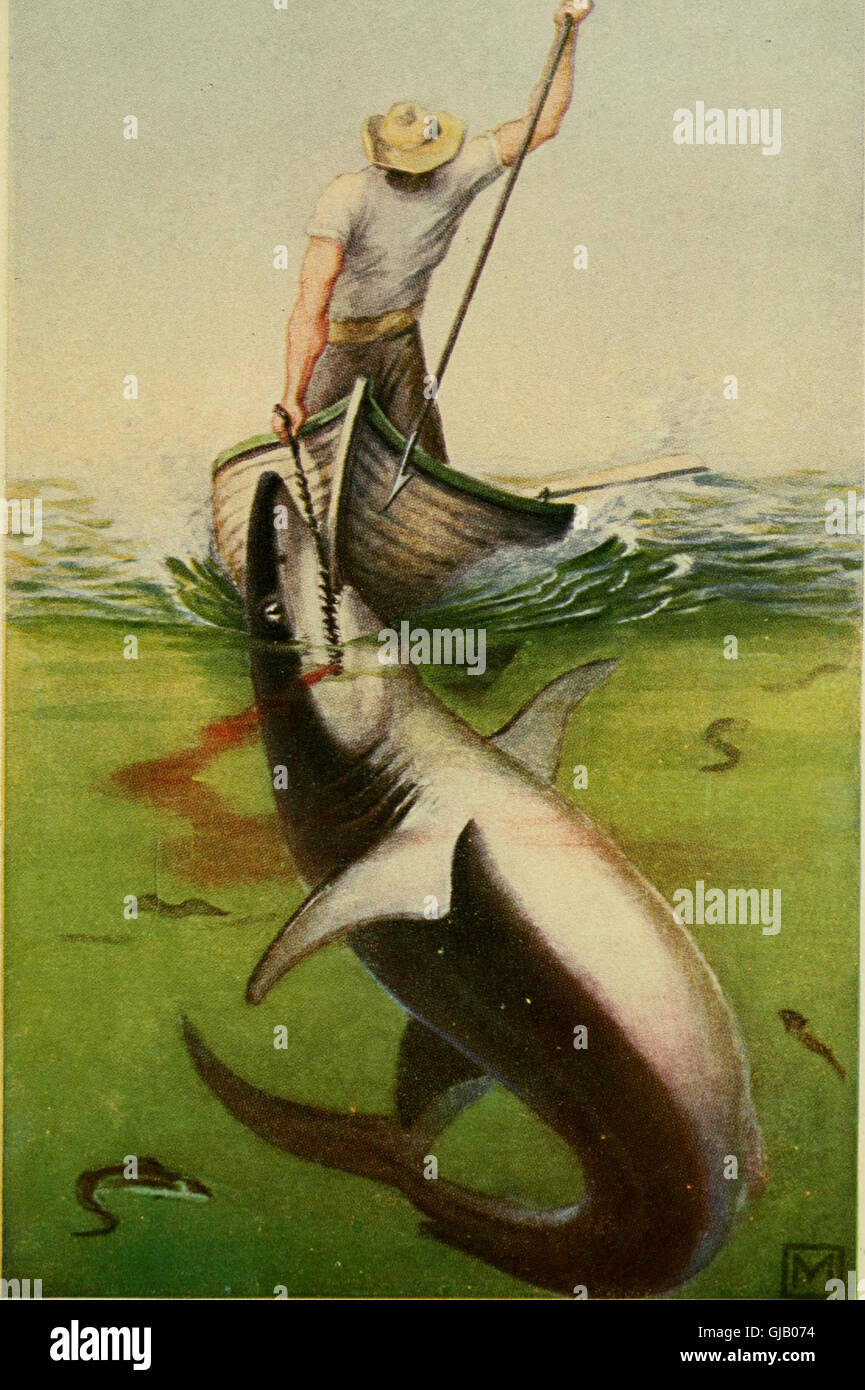 This book combines personal anecdotes, historical accounts, and ...