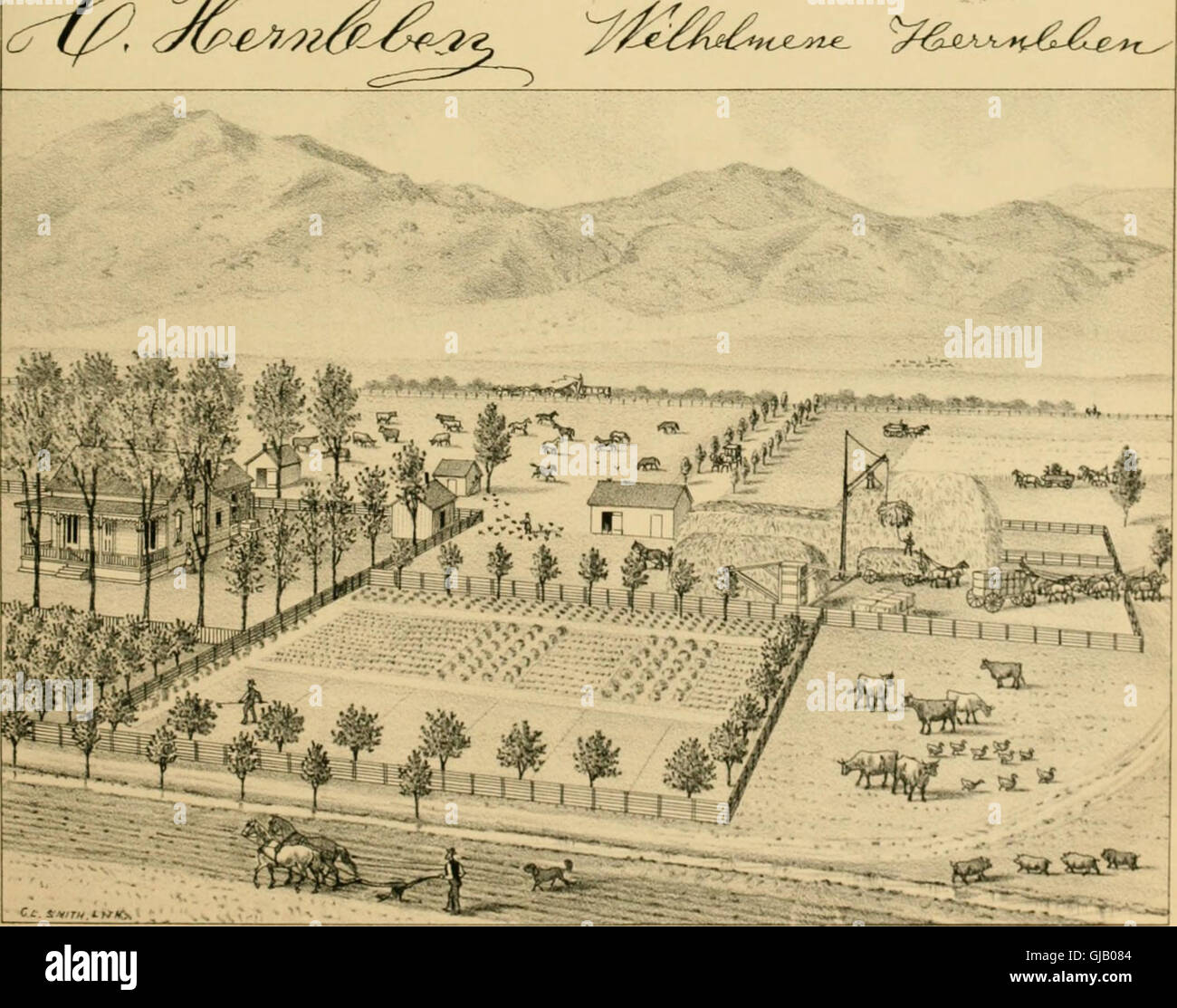 This 1881 history of Nevada covers the state's development, key events ...