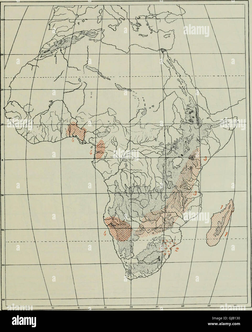 'Die Bienen Afrikas nach dem Stand der heutigen Kenntnisse' (1909 ...