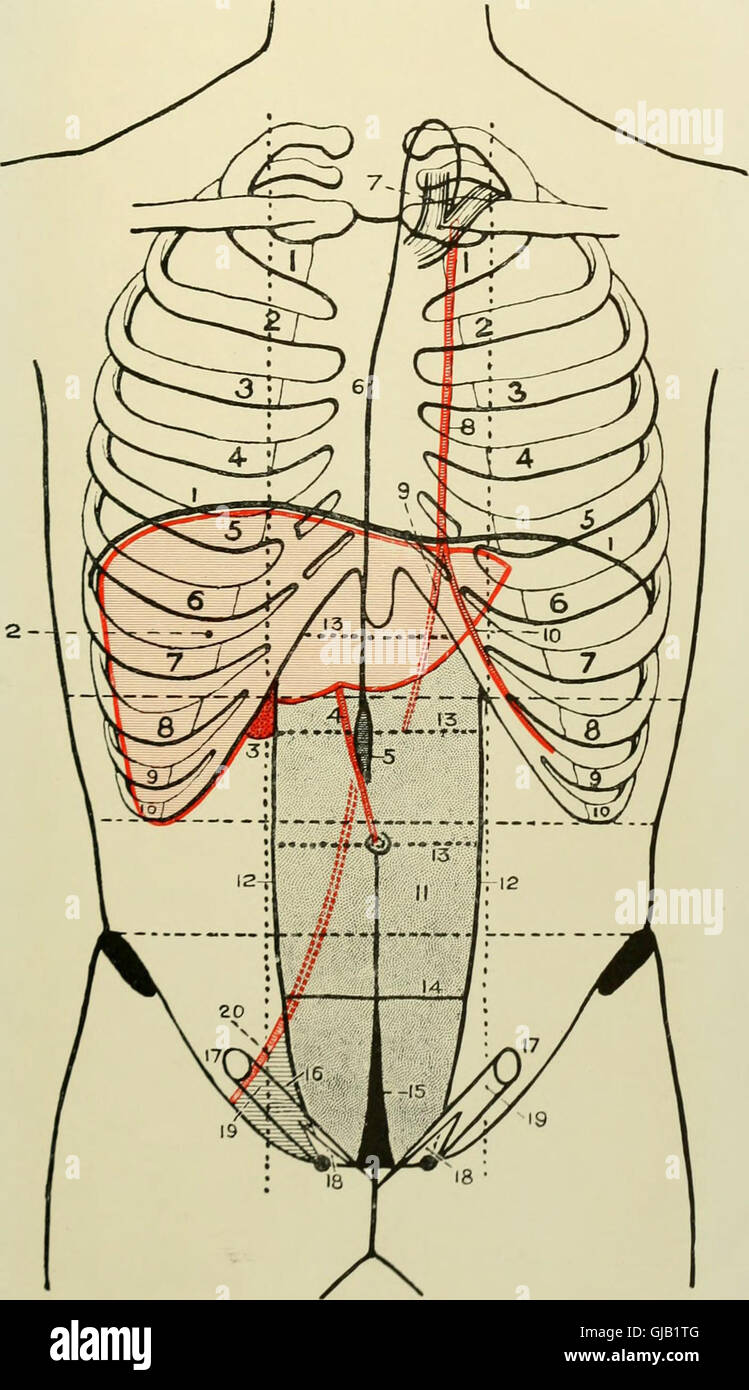 Landmarks and surface markings of the human body (1913 Stock Photo - Alamy