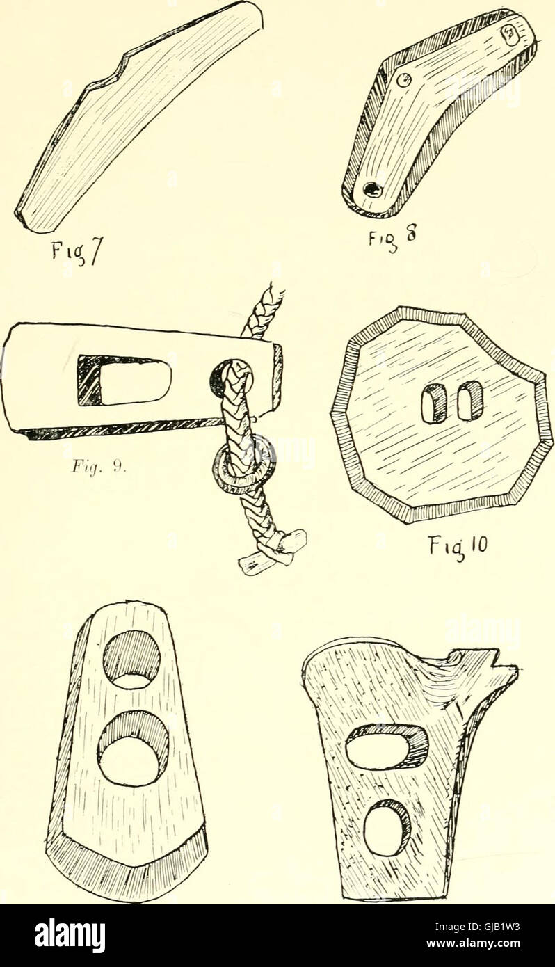 'Travels of a Naturalist in Northern Europe' (1905) details the ...