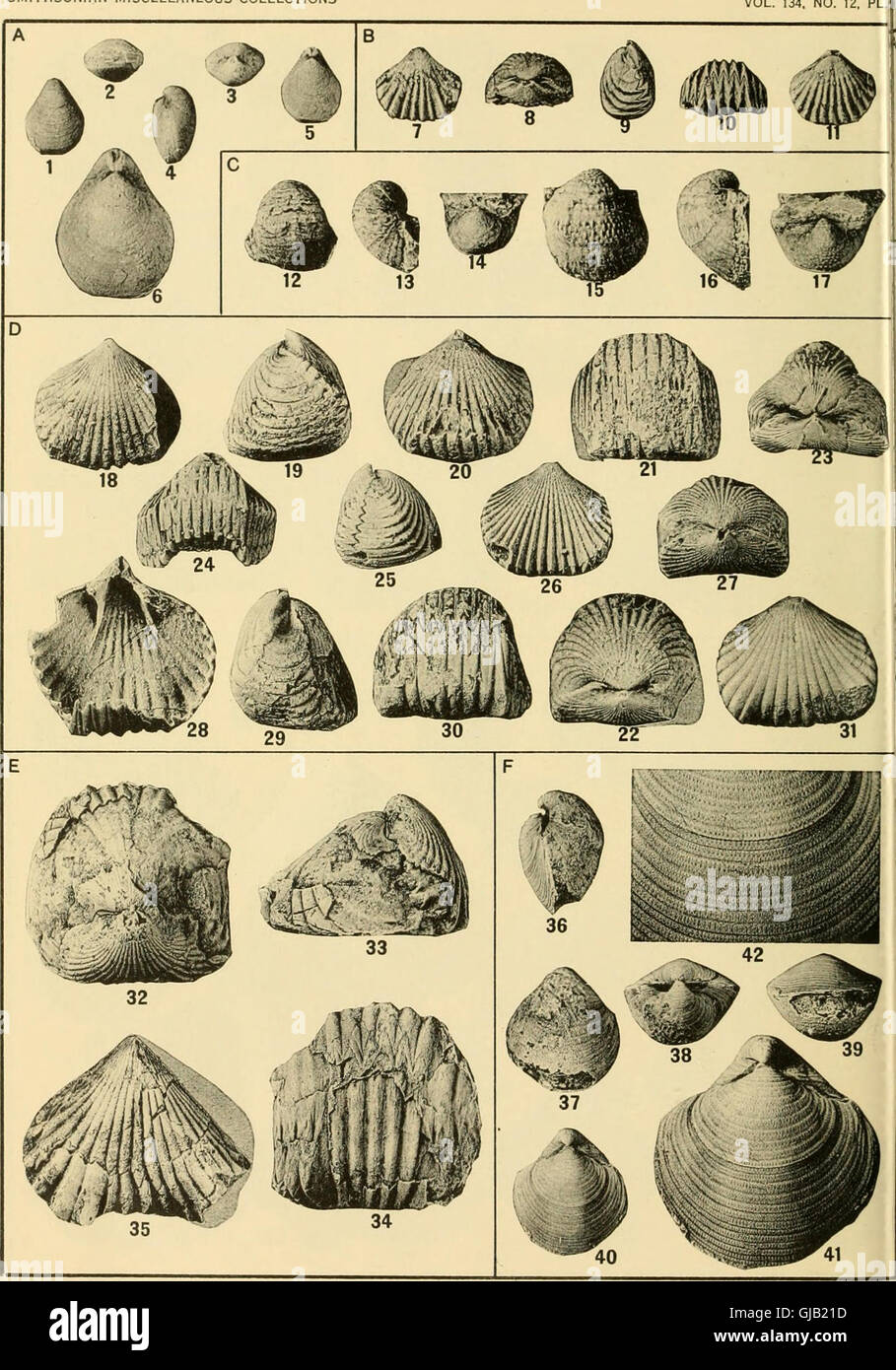 The Smithsonian Miscellaneous Collections, published in 1958 ...