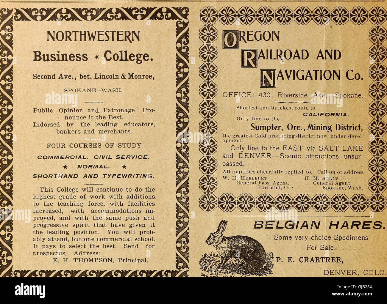 Published in 1900, this journal provided information on domestic life ...