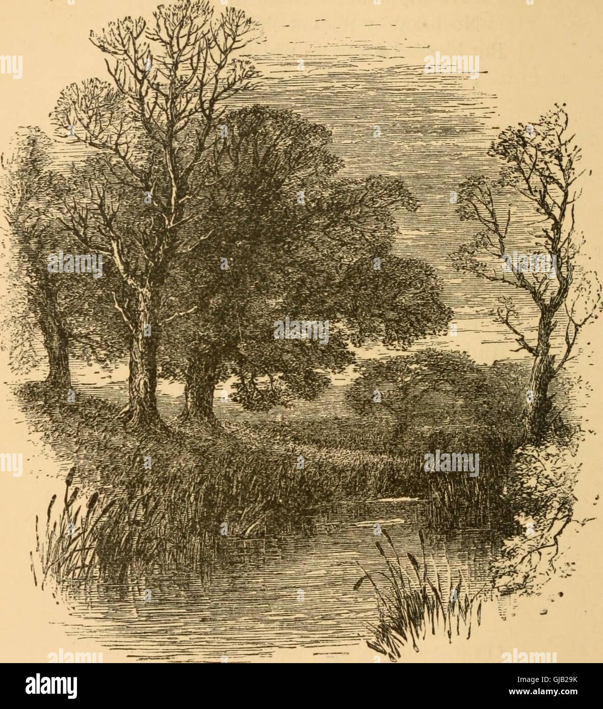 Alfred lord tennyson poems hi-res stock photography and images - Alamy