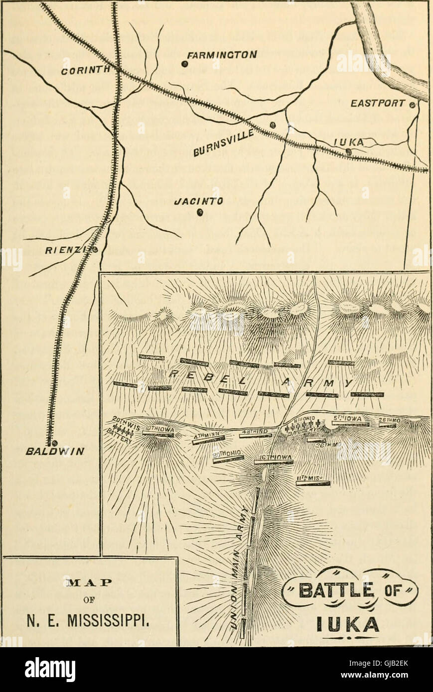 This historical account examines the contributions of Iowa's troops to ...