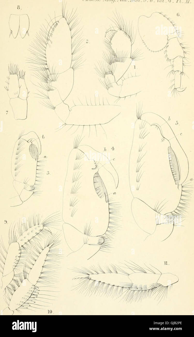 'The Annals and Magazine of Natural History' (1838) is a journal ...