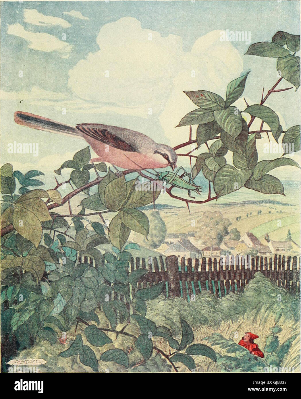 'Little Tom' (1922) is a children's book featuring themes of adventure ...