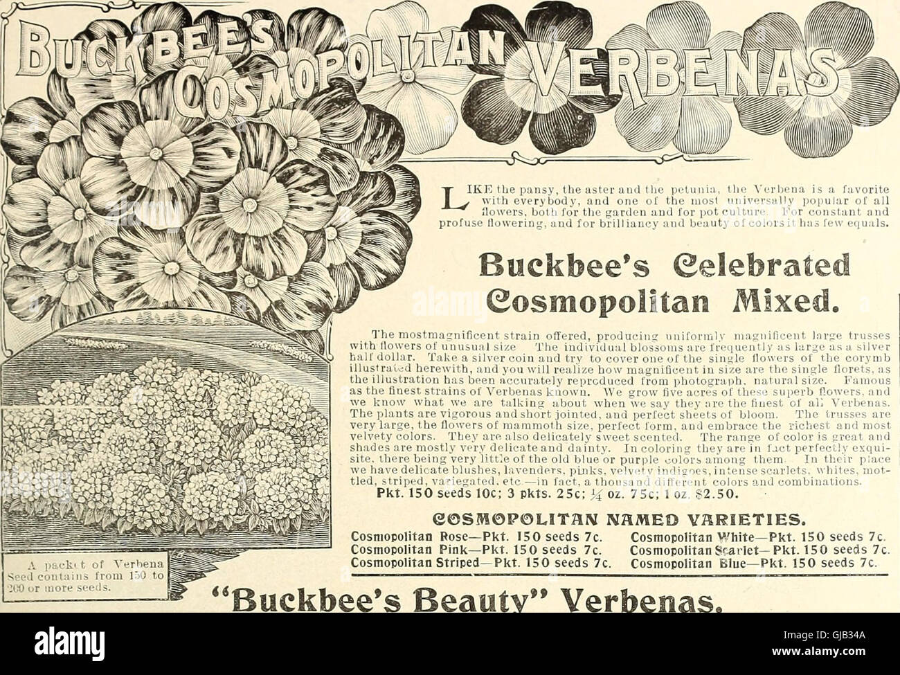 This 1905 seed and plant guide by H.W. Buckbee offers a comprehensive ...