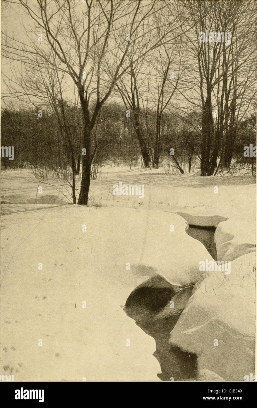 'Through the Year with Thoreau' (1917) presents a selection of writings ...