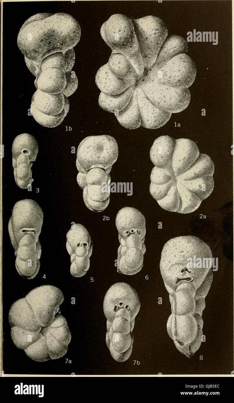 A collection of various research articles, studies, and findings ...