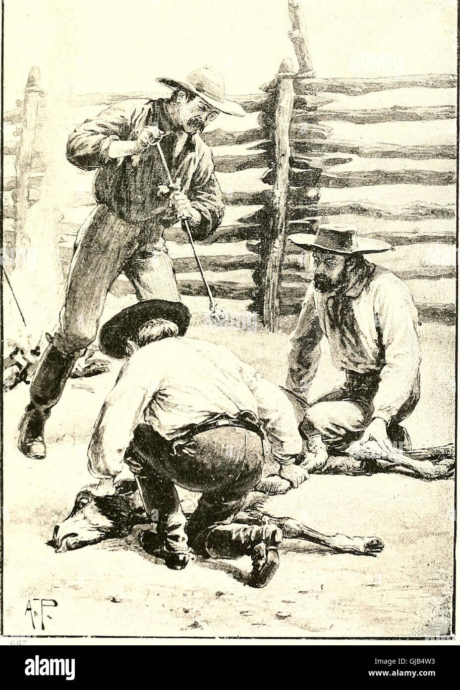 *Redskin and Cow-boy* (1891) is a Western novel that tells the story of ...