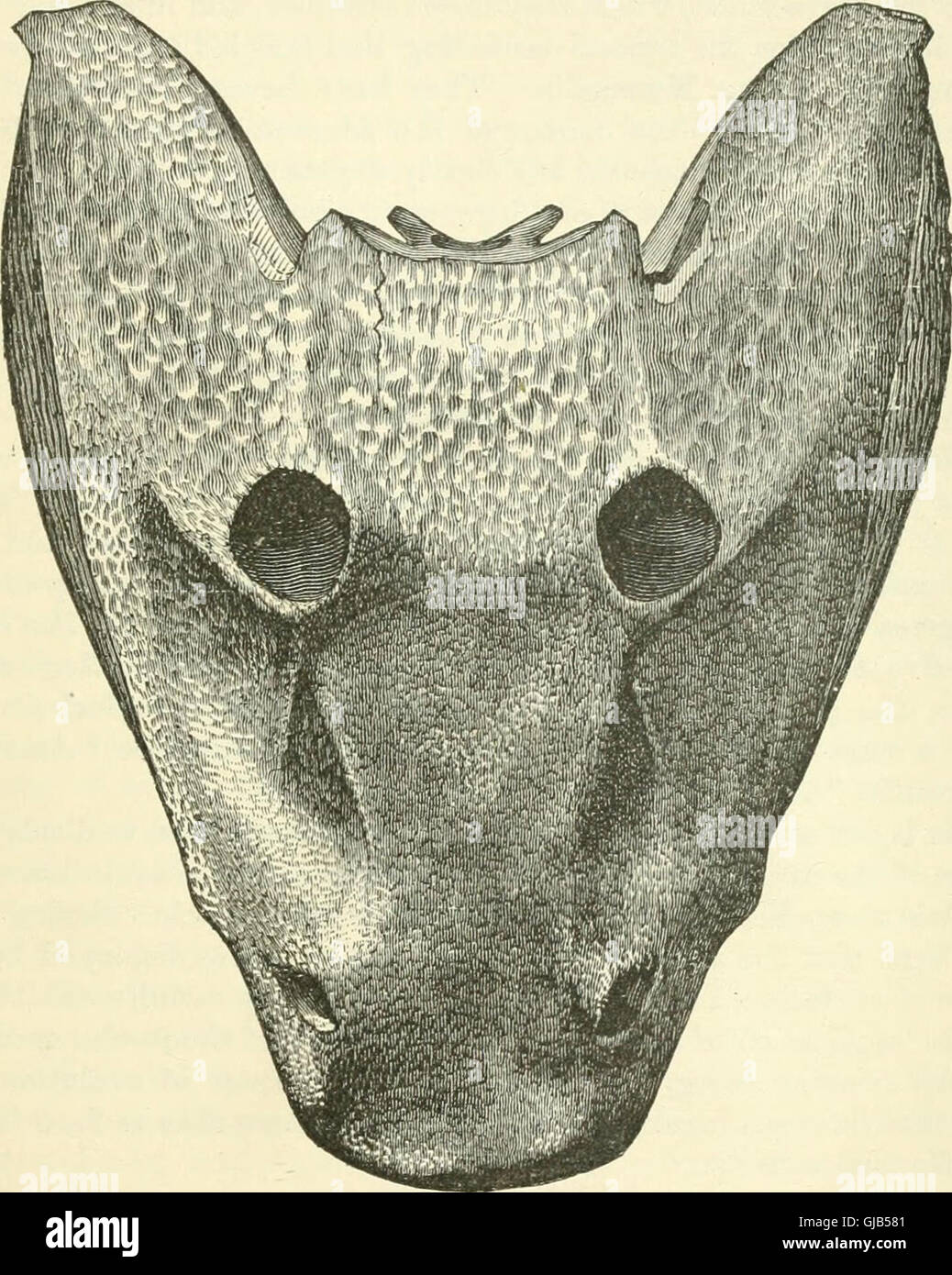 'Popular Science Monthly' (1872) is a periodical publication that ...