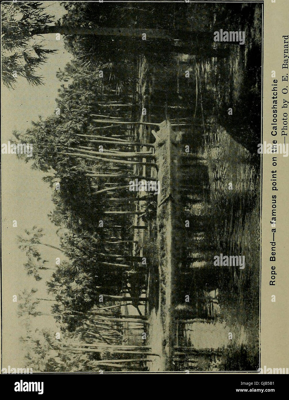 This 1913 guide, 'The Oologist', is designed for students studying ...