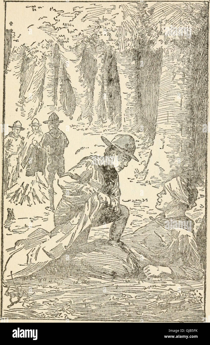 Roy Blakeley's silver fox patrol (1920 Stock Photo - Alamy