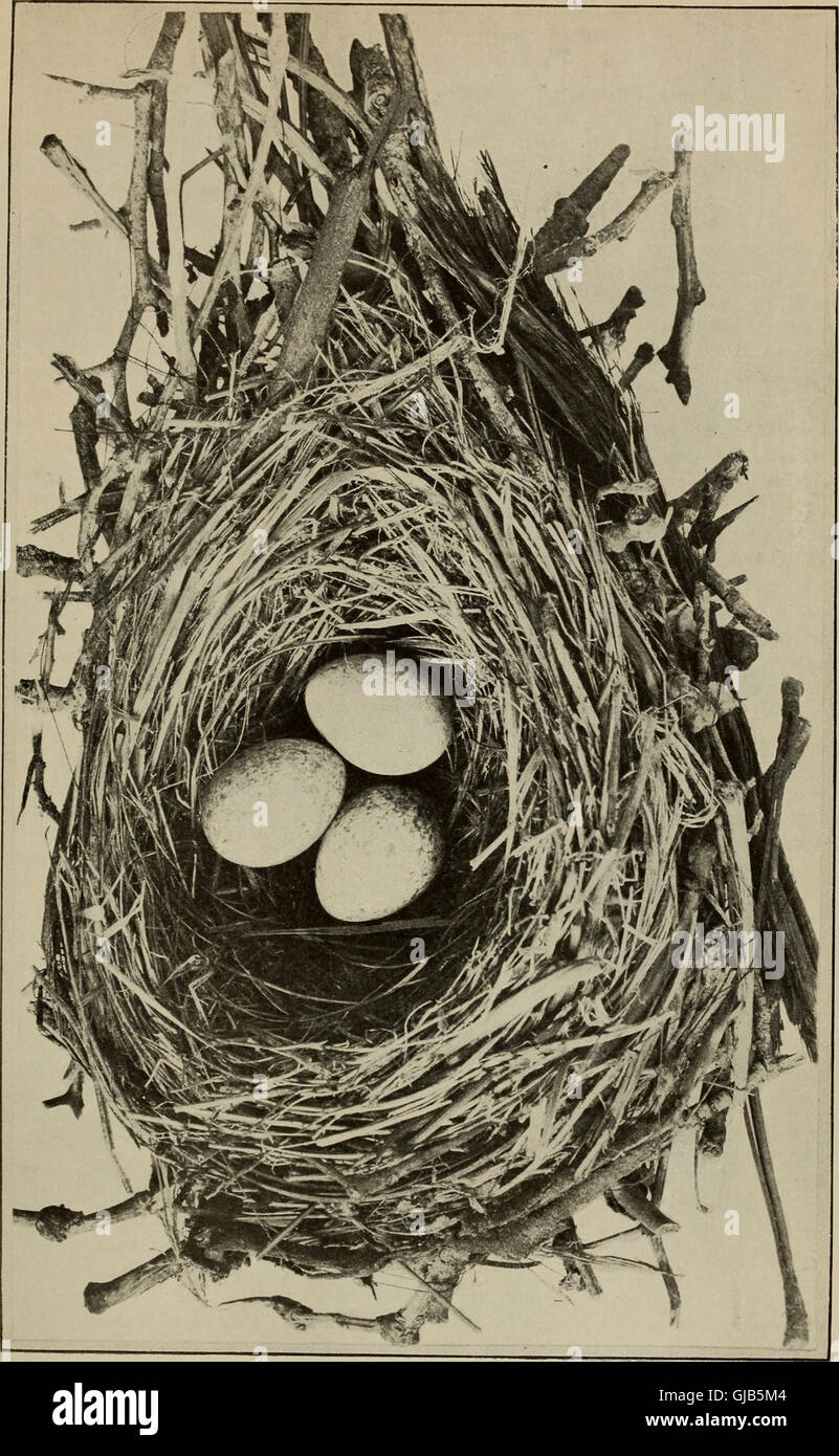 This 1917 work serves as a guide for students of ornithology, focusing ...