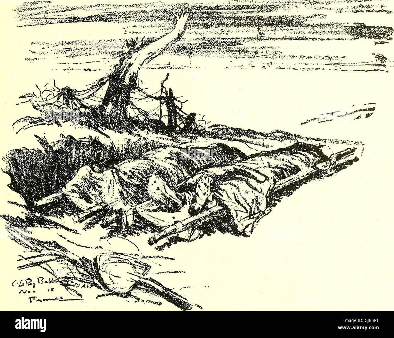 This work provides a brief history of 'The Stars and Stripes,' the ...