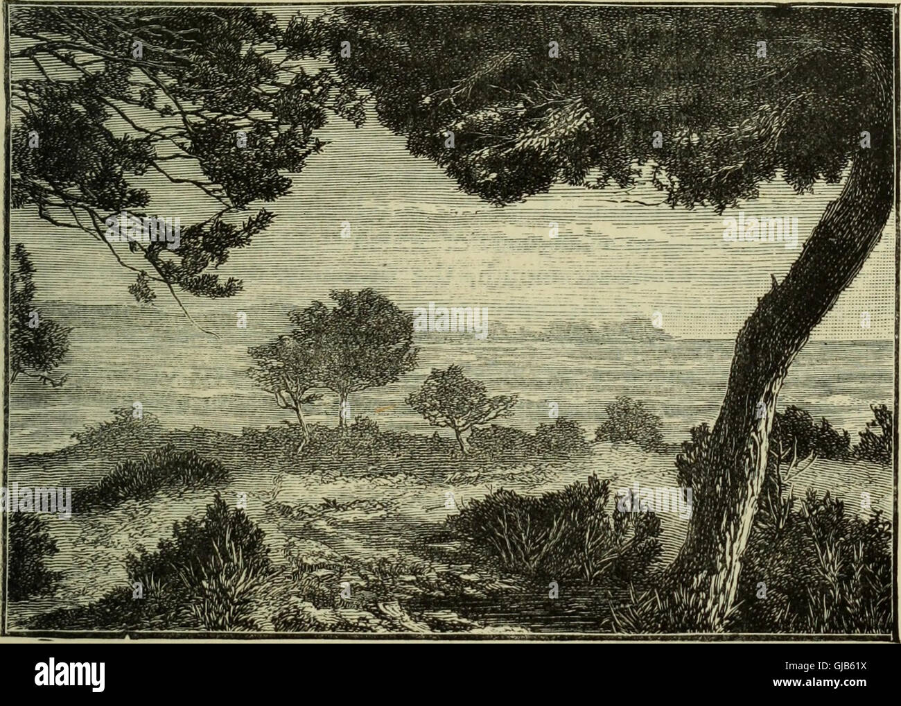 The Argosy (1865 Stock Photo - Alamy