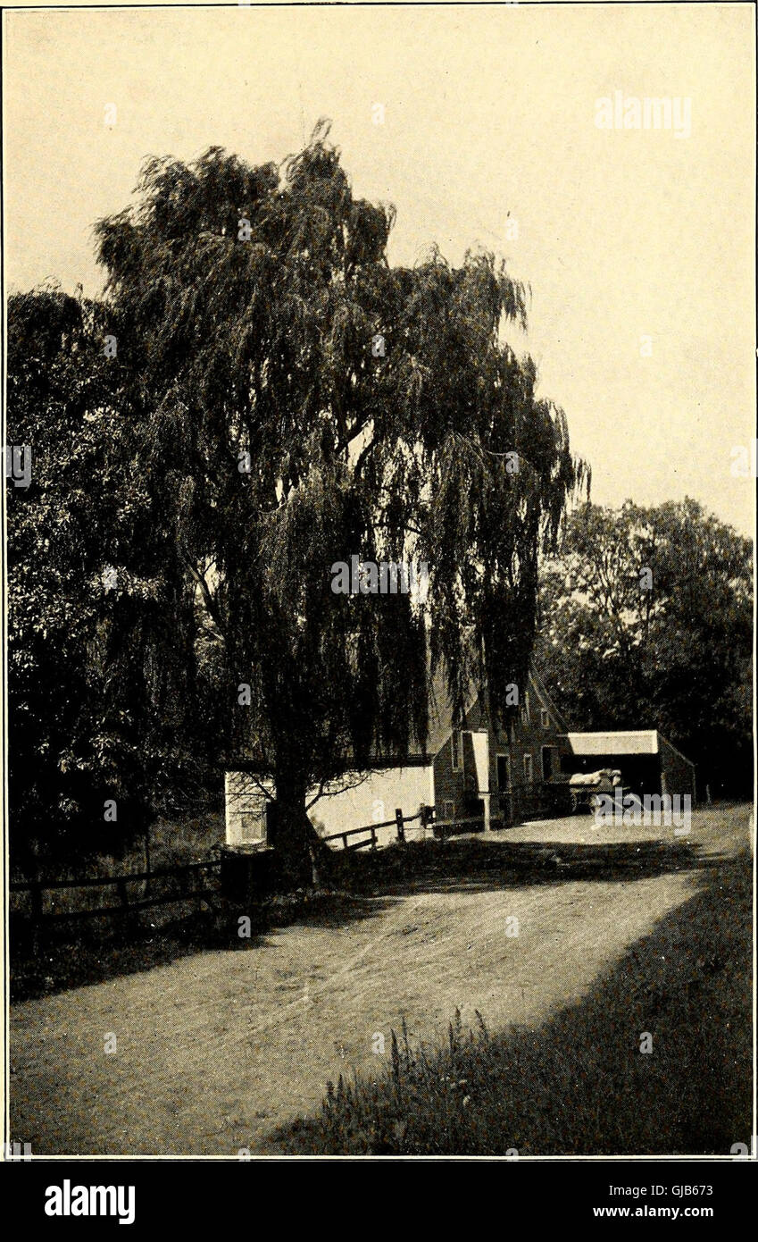 Uncle Abner's Legacy, published in 1915, is a story that explores ...