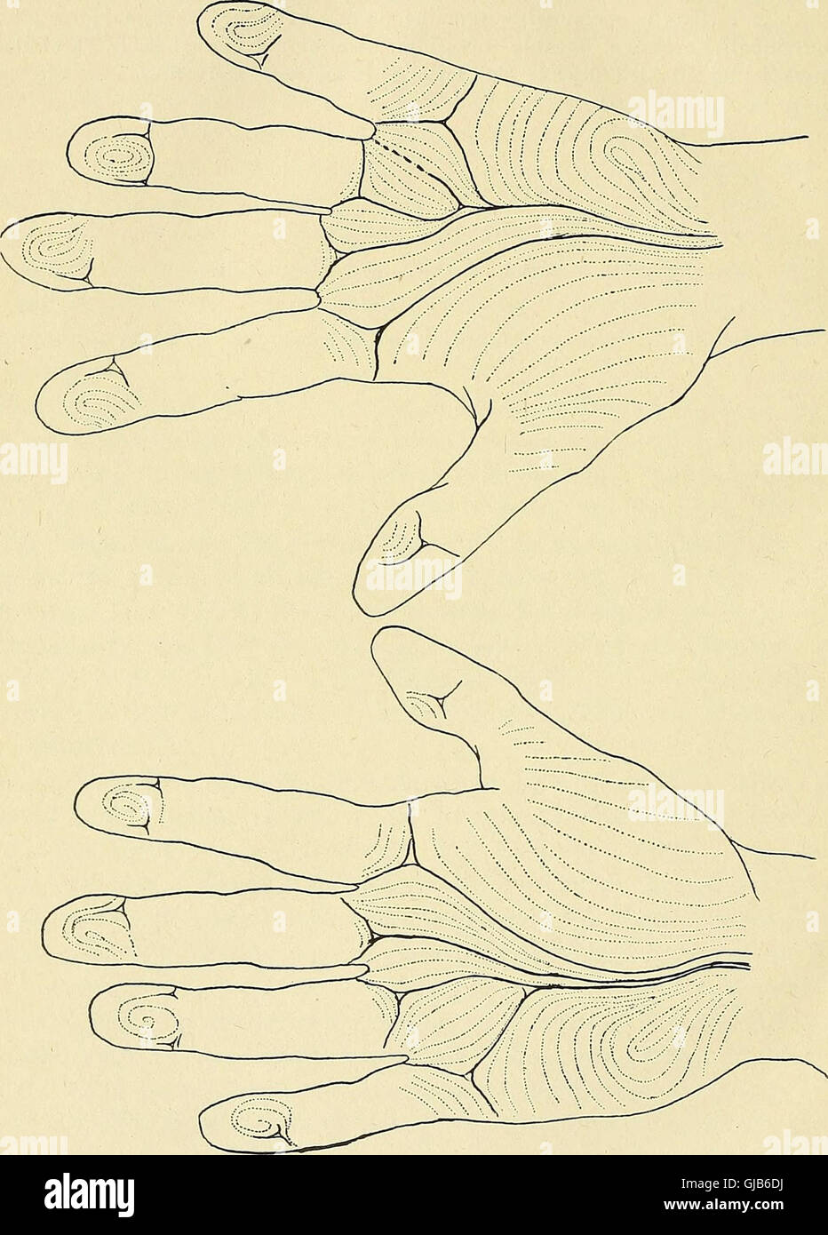 This 1918 work examines forensic and biometric methods for identifying ...