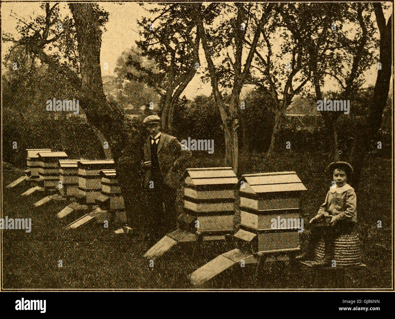 The *British Bee Journal and Bee-Keepers Adviser* (1905) provides ...
