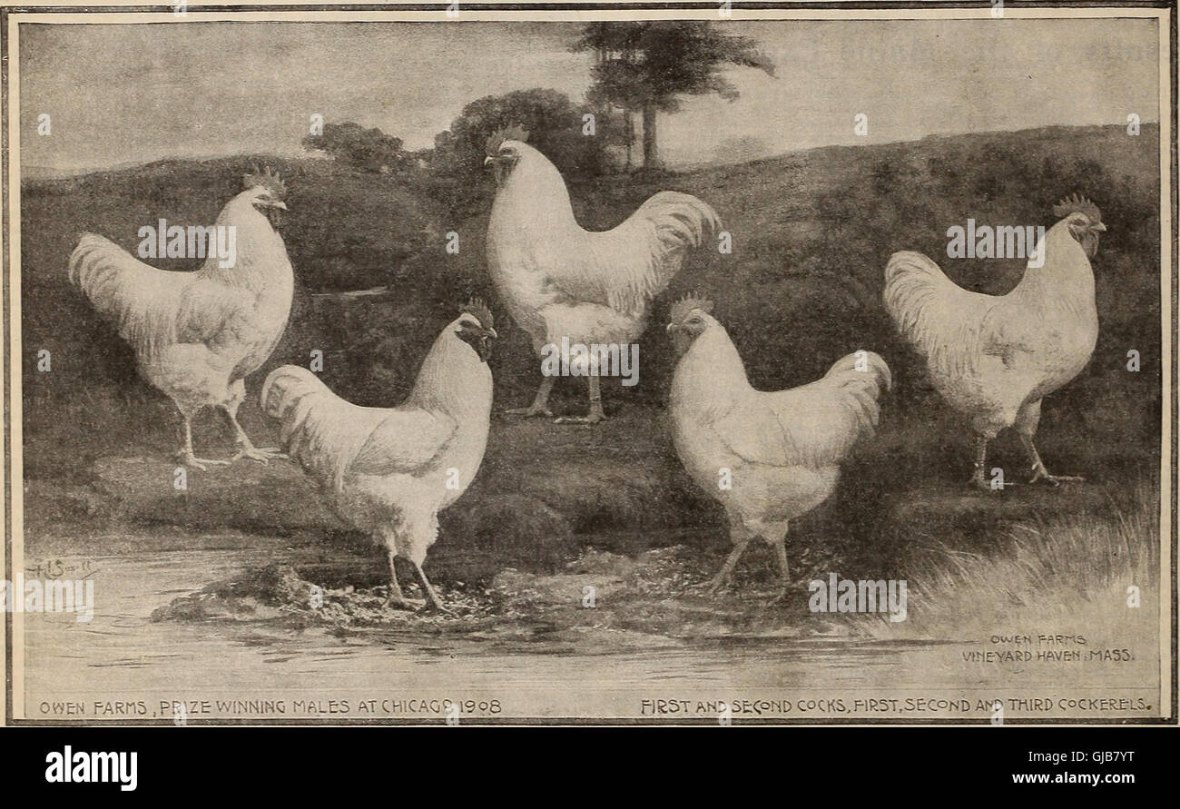 *The Farm-Poultry* (1908) is a publication focused on poultry farming, offering advice on ...