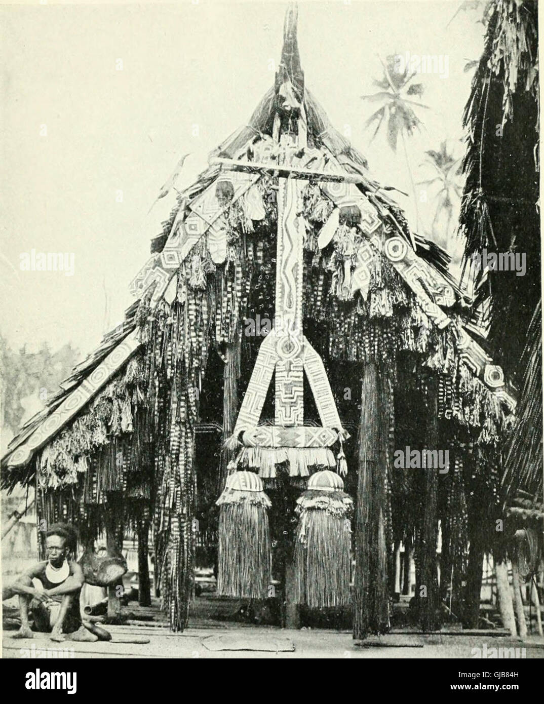 *Taming New Guinea* (1922) discusses the exploration, colonization, and ...