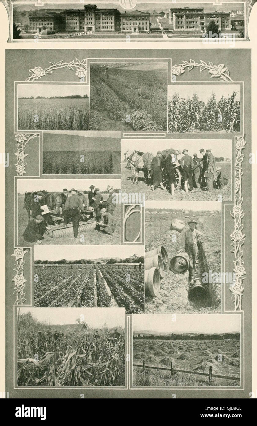 *The Trail Blazers* (1915) is a historical narrative that documents the ...