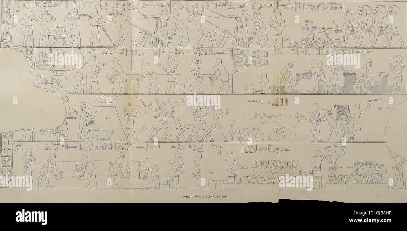 This 1893 memoir documents an archaeological survey of Egypt, detailing ...