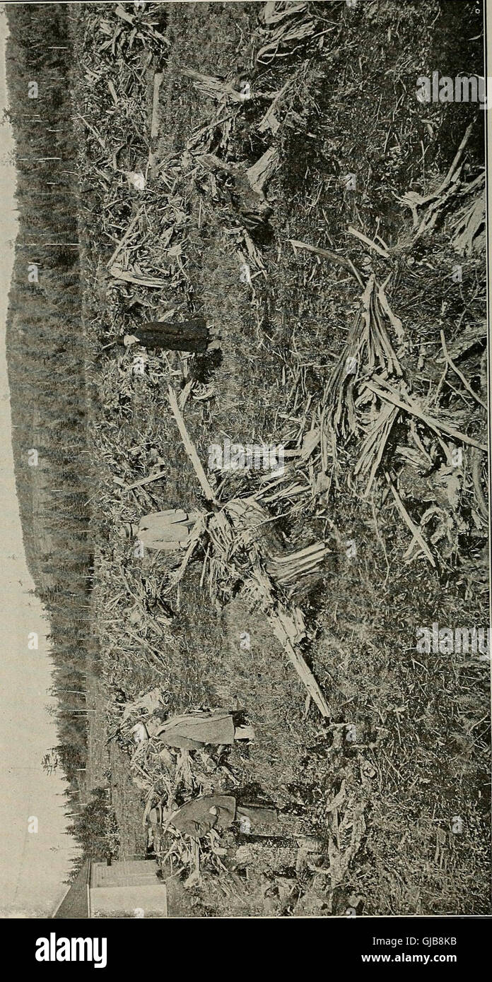 This 1911 work explores the use of dynamite in farming to increase crop ...