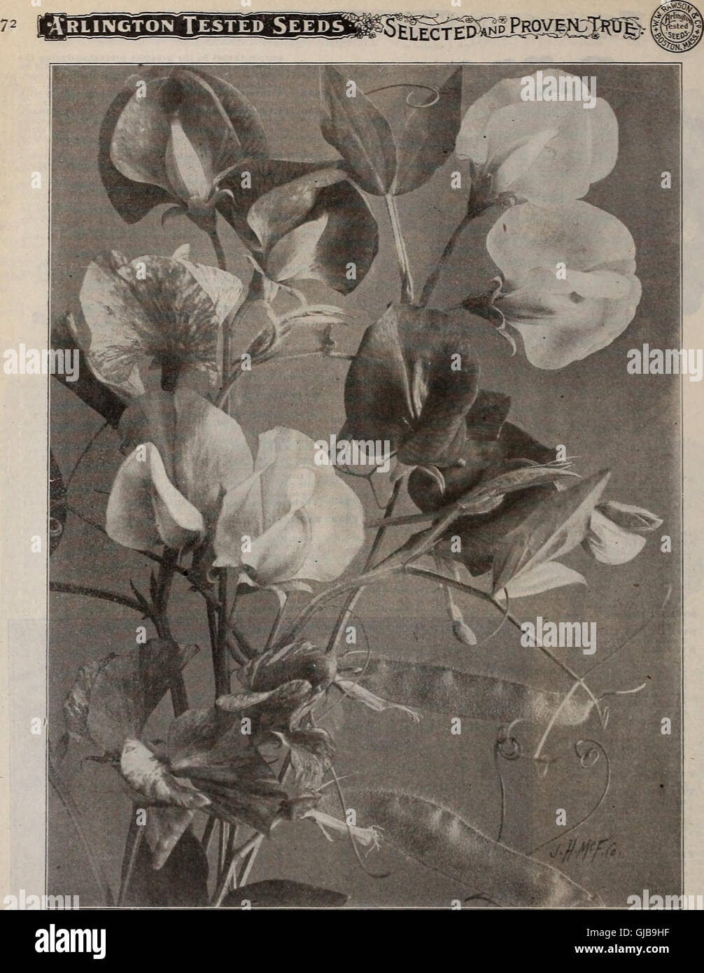 W.W. Rawson and Co., a seed company founded in 1905, was known for its ...