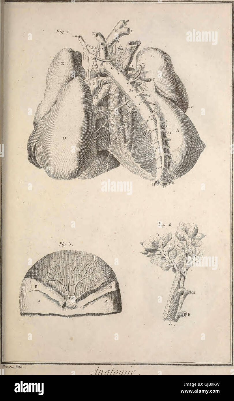 A 1762 collection of plates illustrating the sciences, liberal arts ...