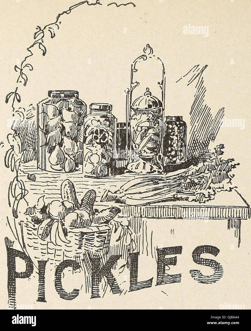 Published in 1881, The Original Appledore Cook Book offers a collection ...